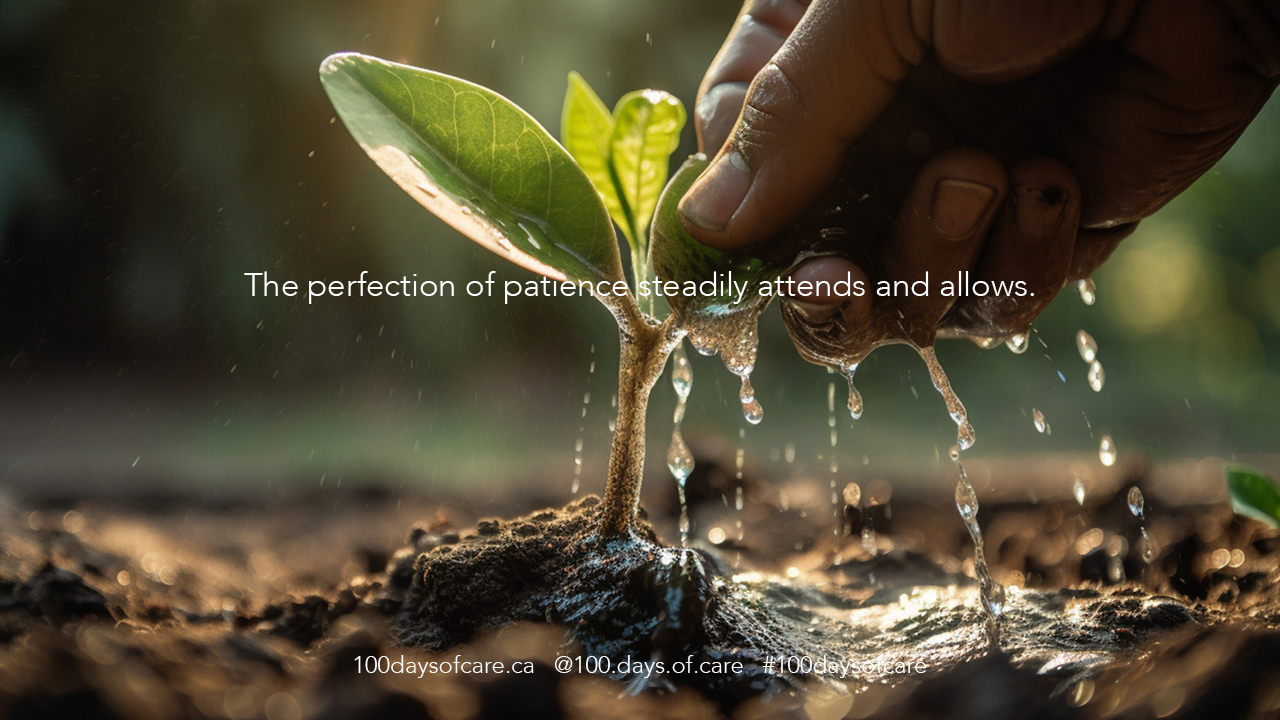 Guided Meditation: Patience - 100 Days of Care